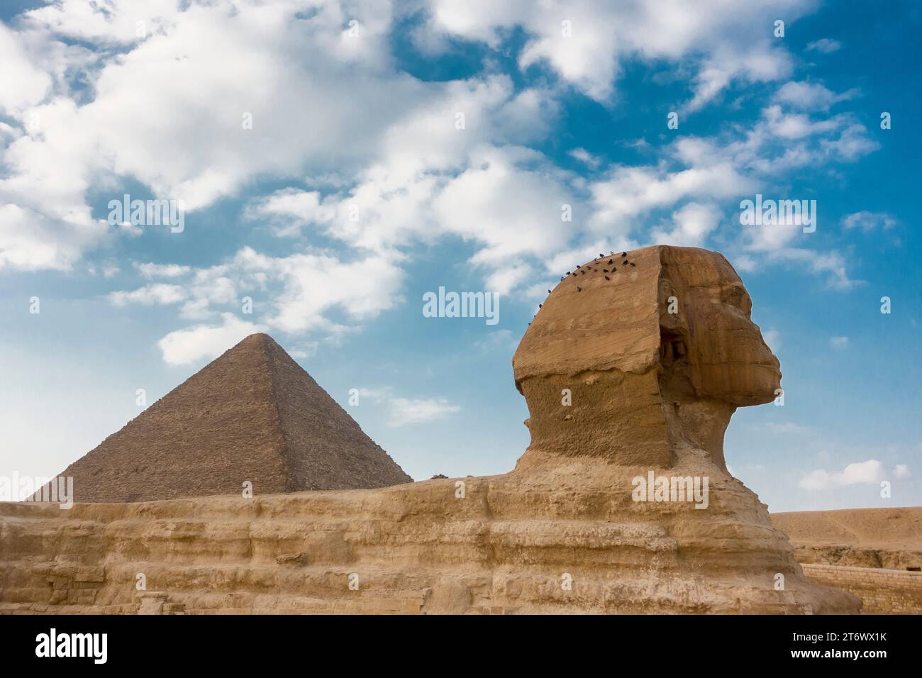 Sphinx in Ägypten in front of Cheops-Pyramide Stock Photo - Alamy