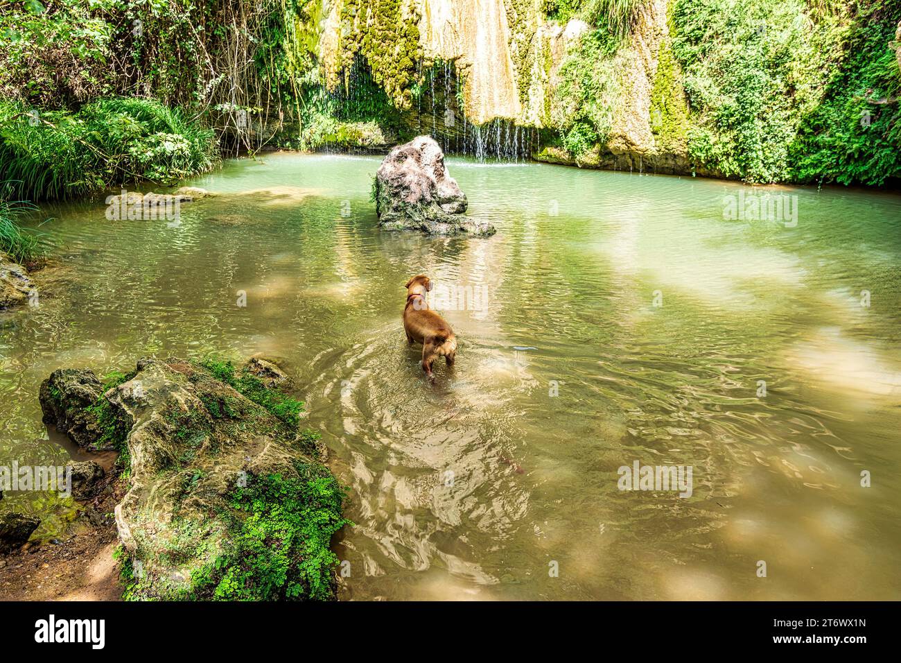 Waterfall of Kalamaris, a natural reserve in Gialova region, Messinia ...