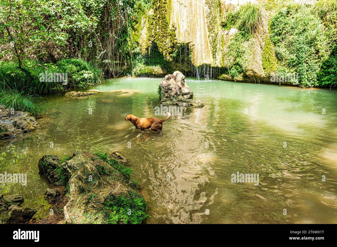 Kalamaris waterfall hi-res stock photography and images - Alamy