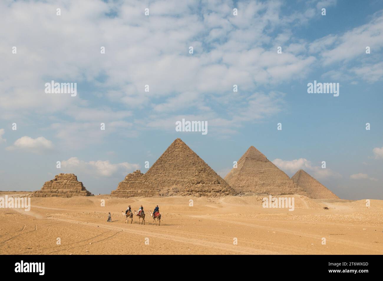 Sphinx in Ägypten in front of Cheops-Pyramide Stock Photo - Alamy