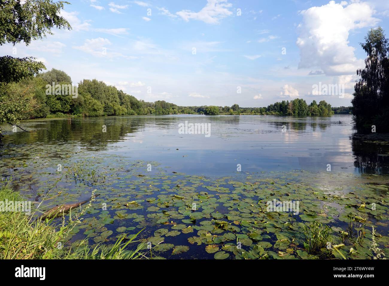 Beautiful countryside summer landscape with wide backwater on the river ...