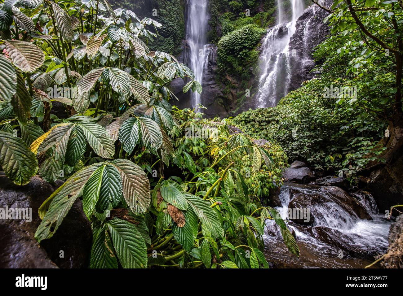 The Sekumpul Waterfall, a large waterfall in the middle of the jungle ...