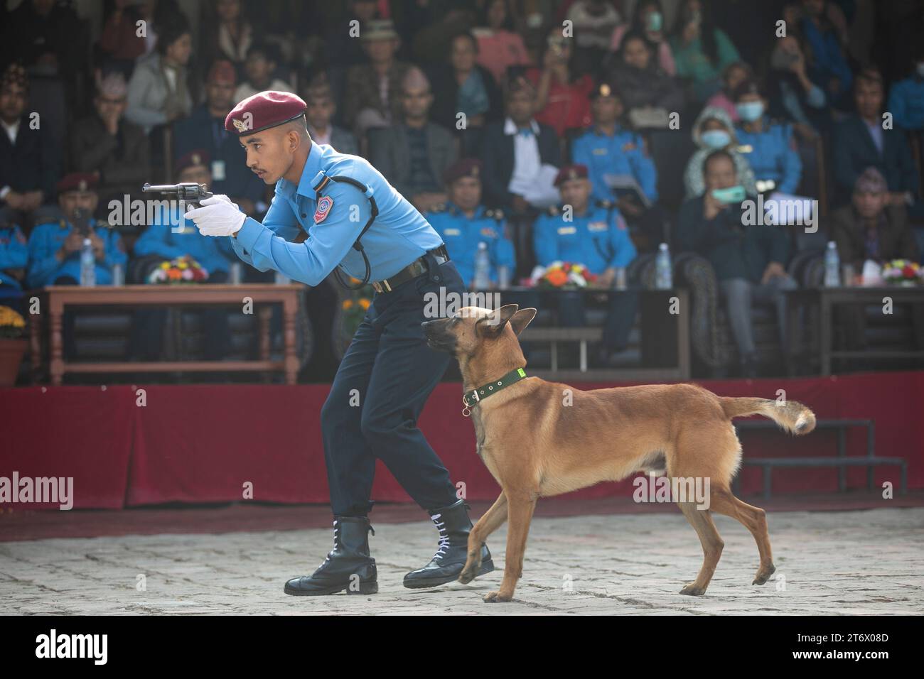 Handler displays hi-res stock photography and images - Alamy