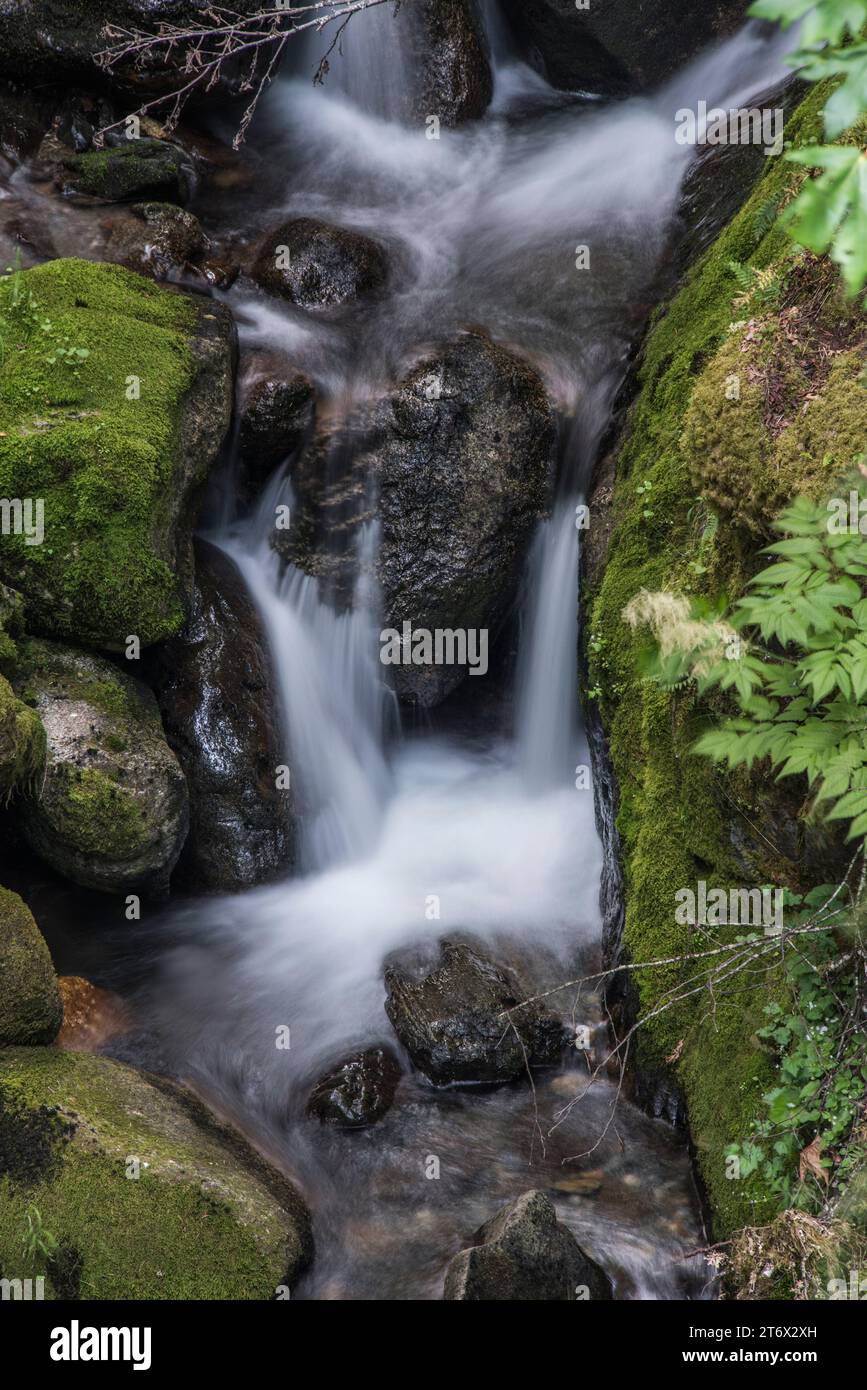 Peace river hi-res stock photography and images - Alamy