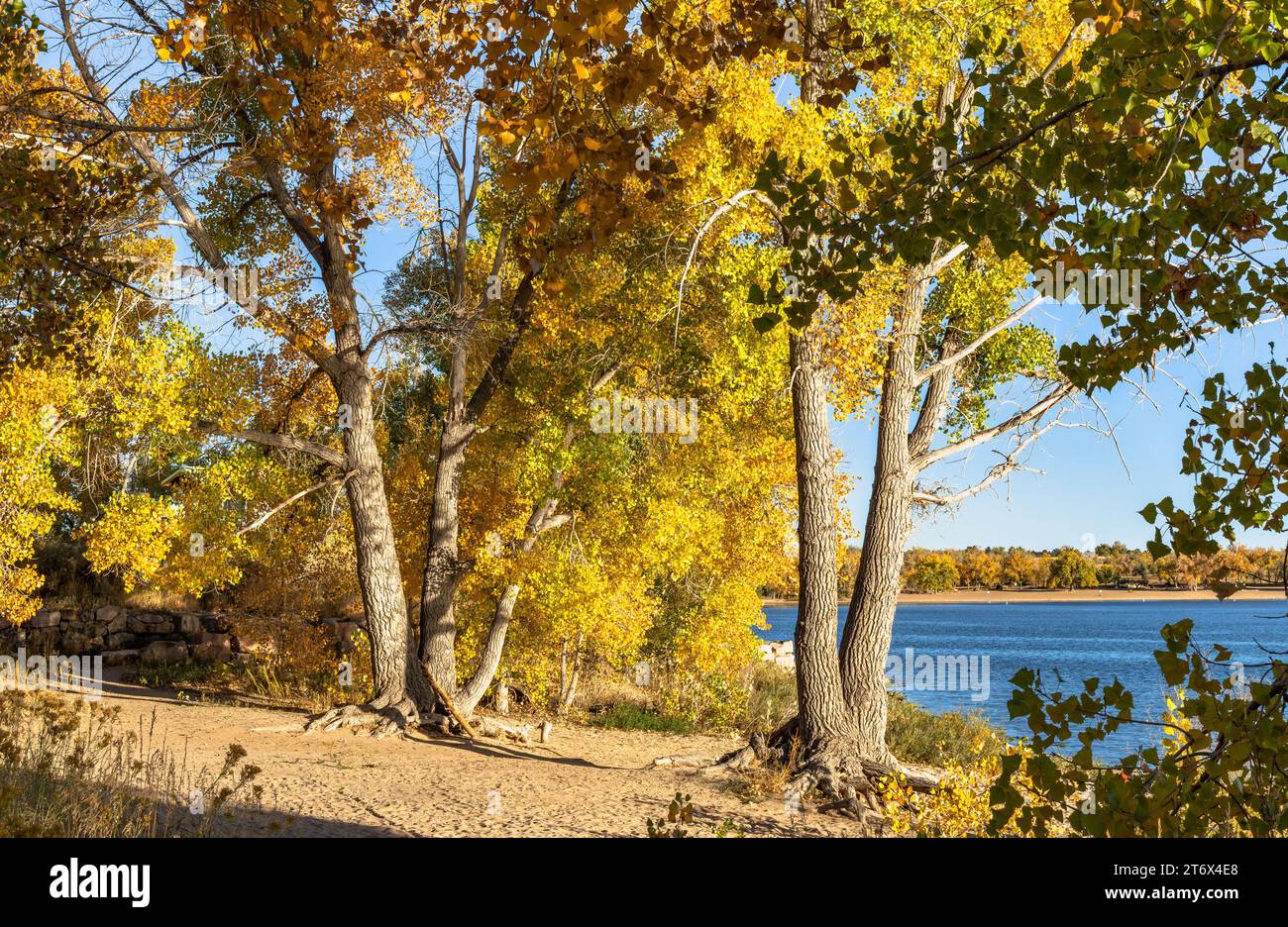 A Fall Season vista from among the changing Cottonwood Trees at Cherry ...