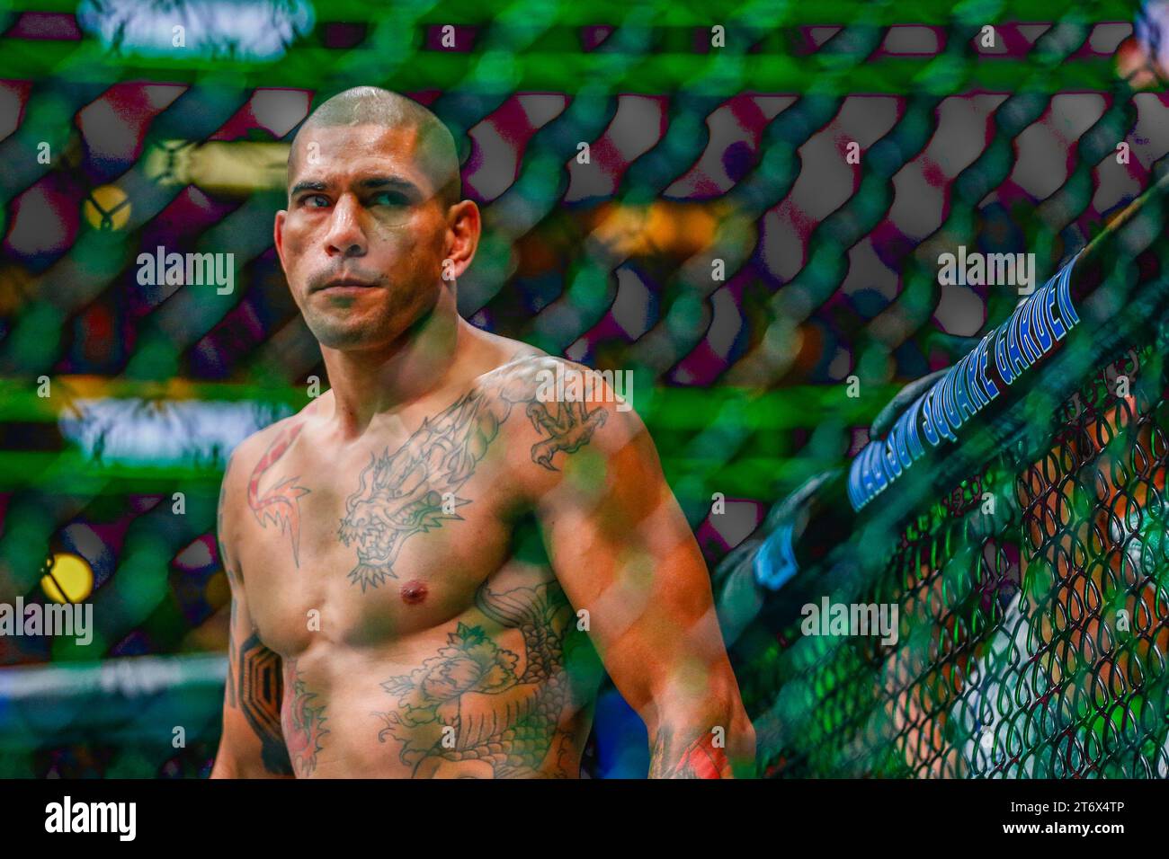 Jiri prochazka ufc hi-res stock photography and images - Alamy
