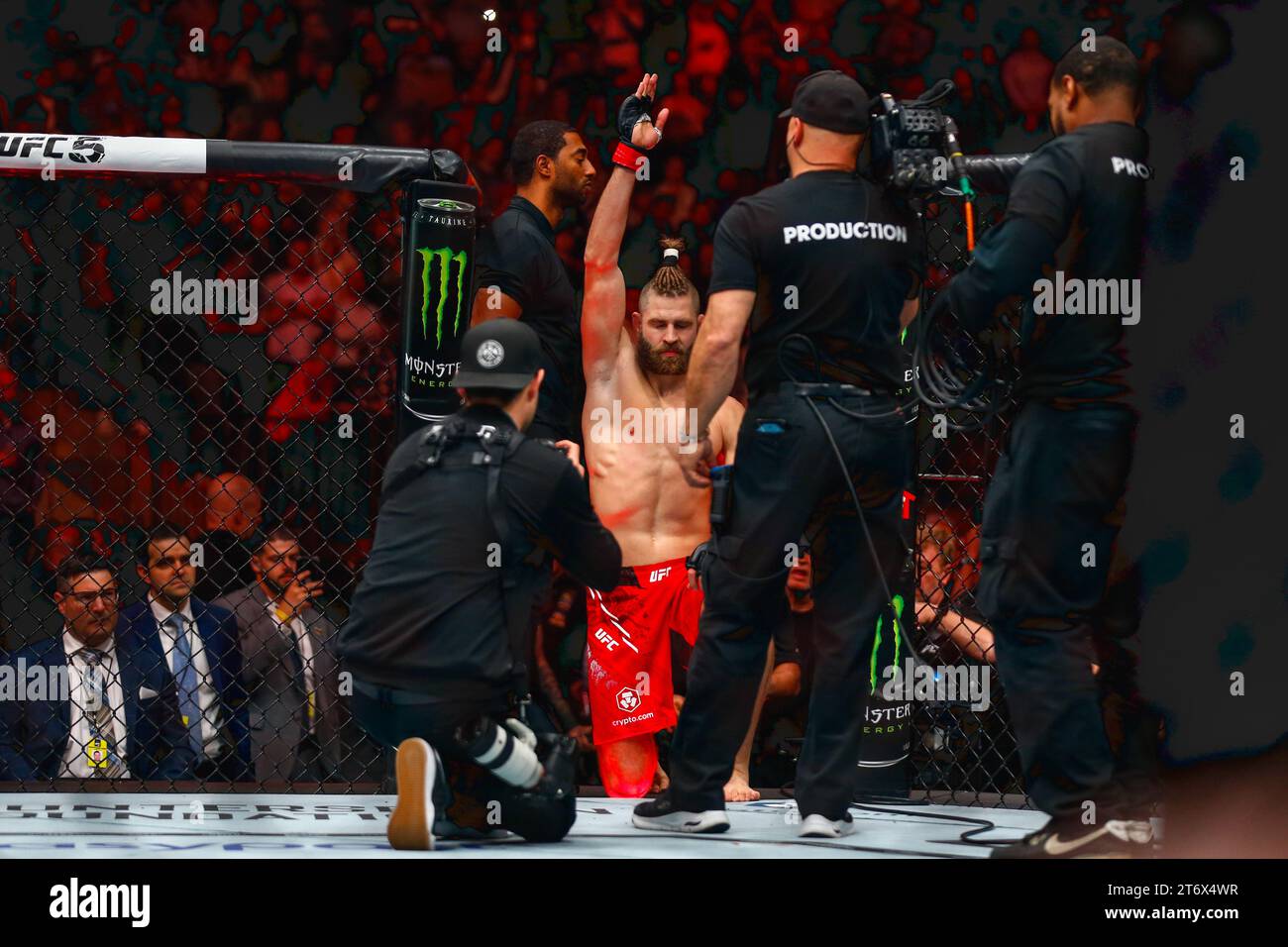 Jiri Prochazka of the Czech Republic (red) and Alex Pereira of Brazil ...