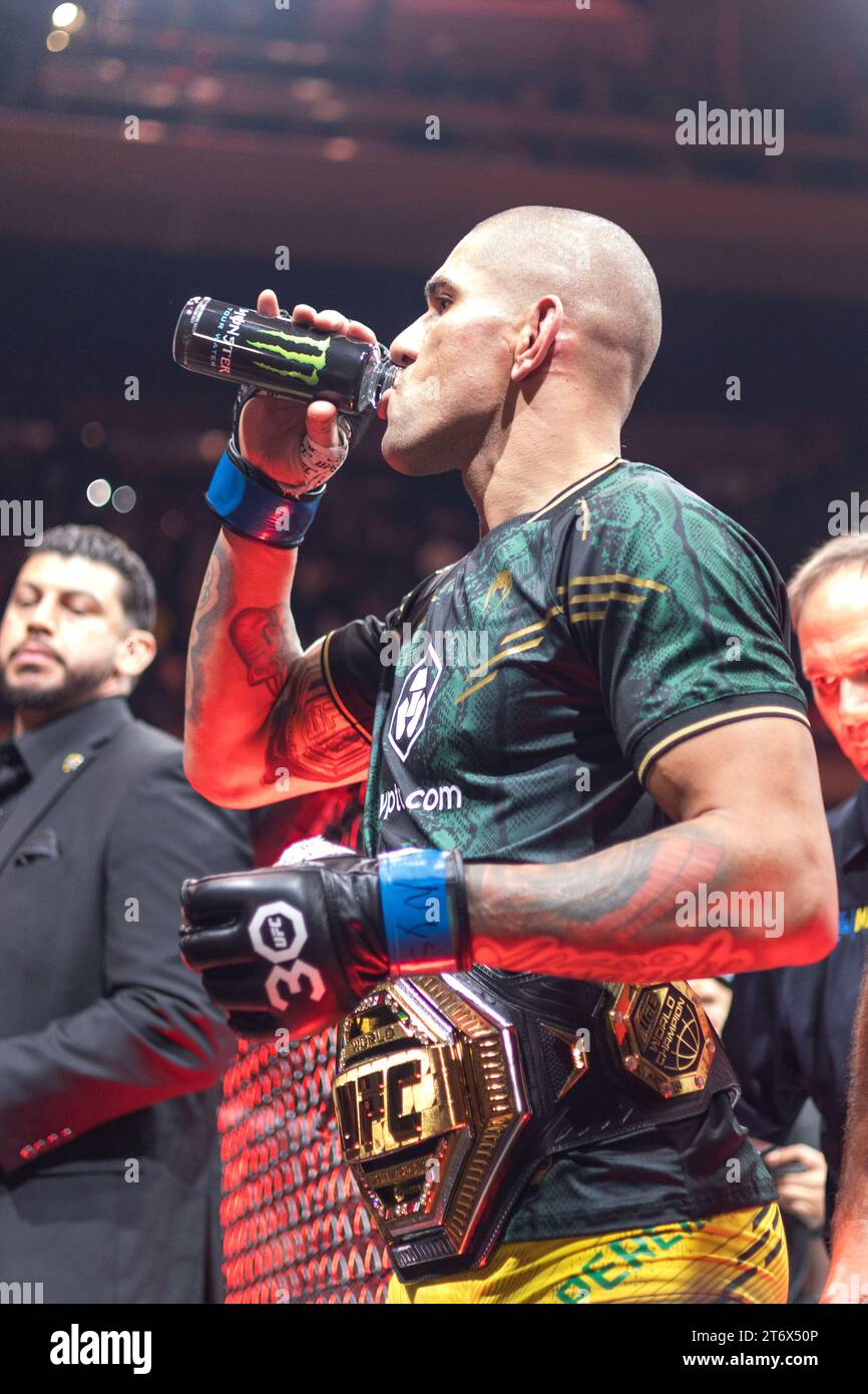 Jiri Prochazka of the Czech Republic (red) and Alex Pereira of Brazil ...