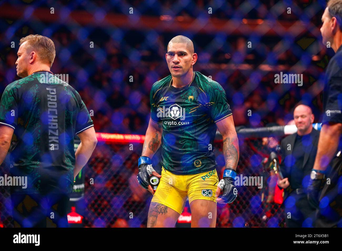 Jiri Prochazka of the Czech Republic (red) and Alex Pereira of Brazil ...