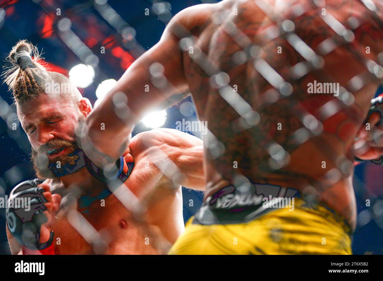 Jiri Prochazka of the Czech Republic (red) and Alex Pereira of Brazil ...