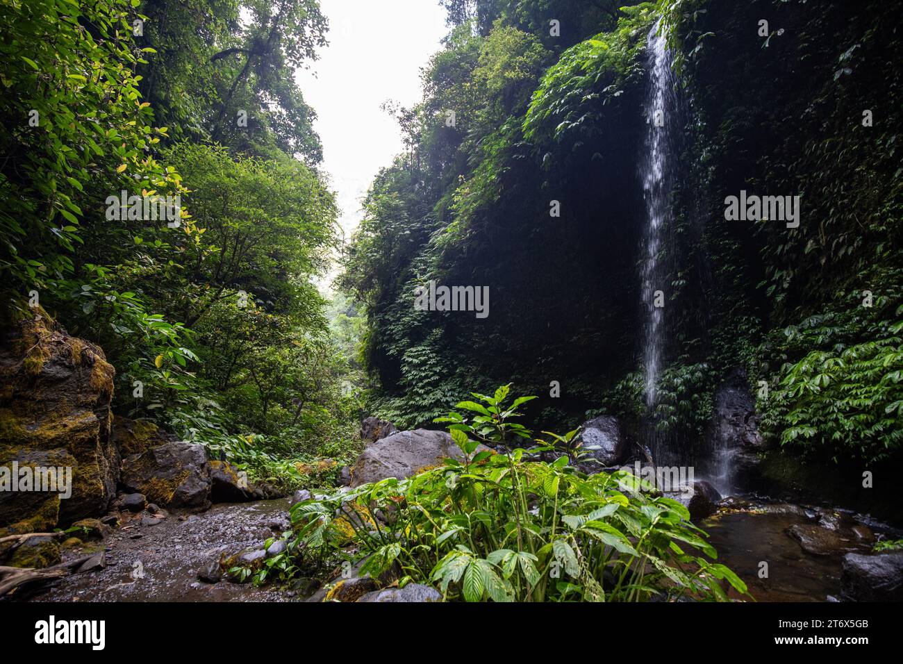 The Sekumpul Waterfall, a large waterfall in the middle of the jungle ...