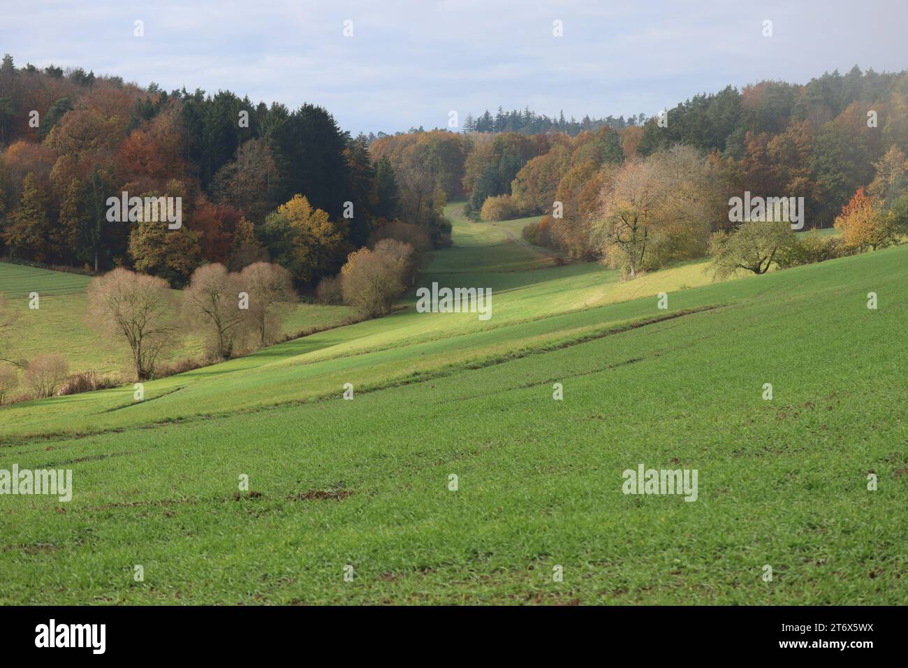 Green fields slope down hi-res stock photography and images - Alamy