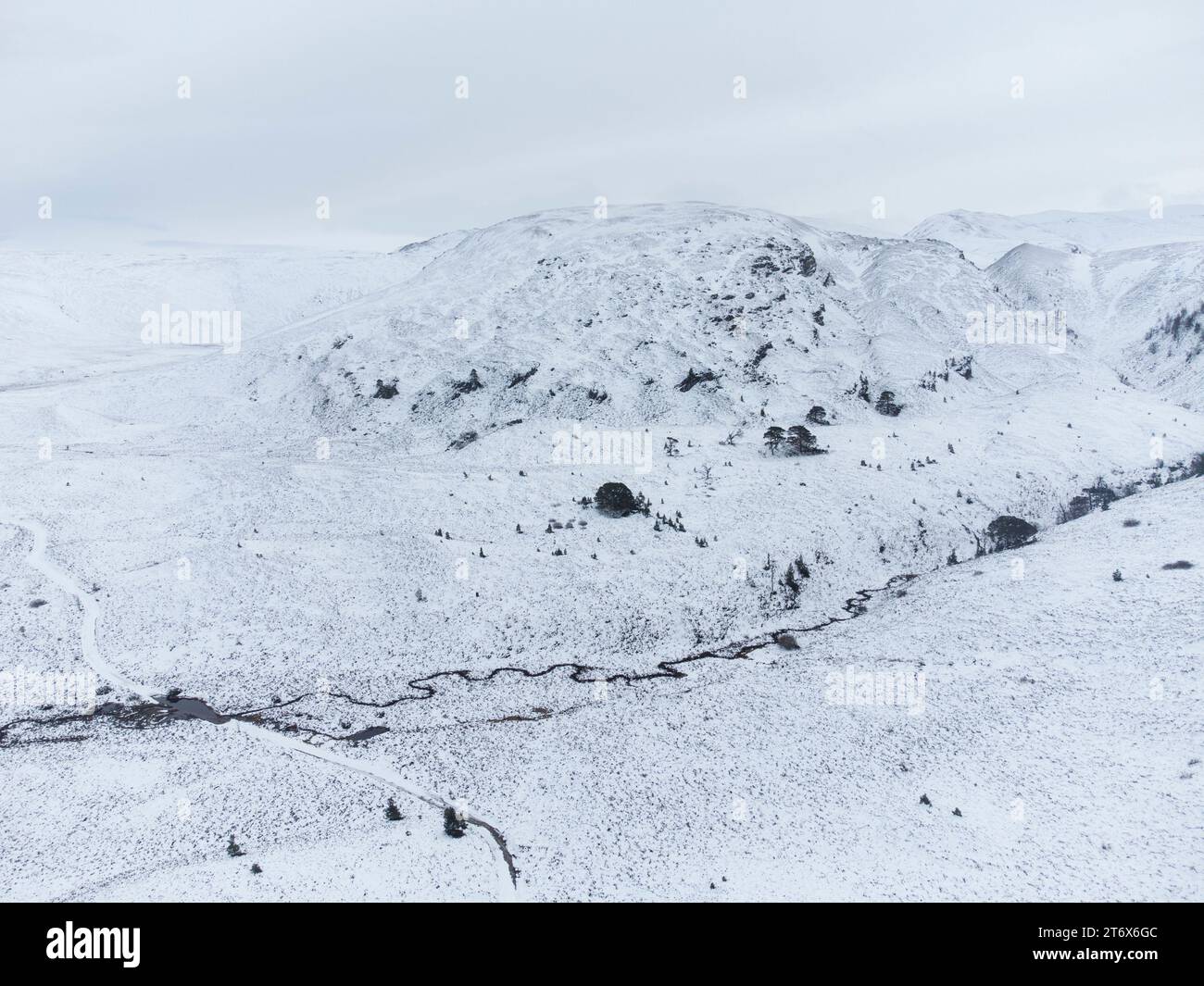 Winter veiw of Abernethy national nature reserve Cairngoms National ...