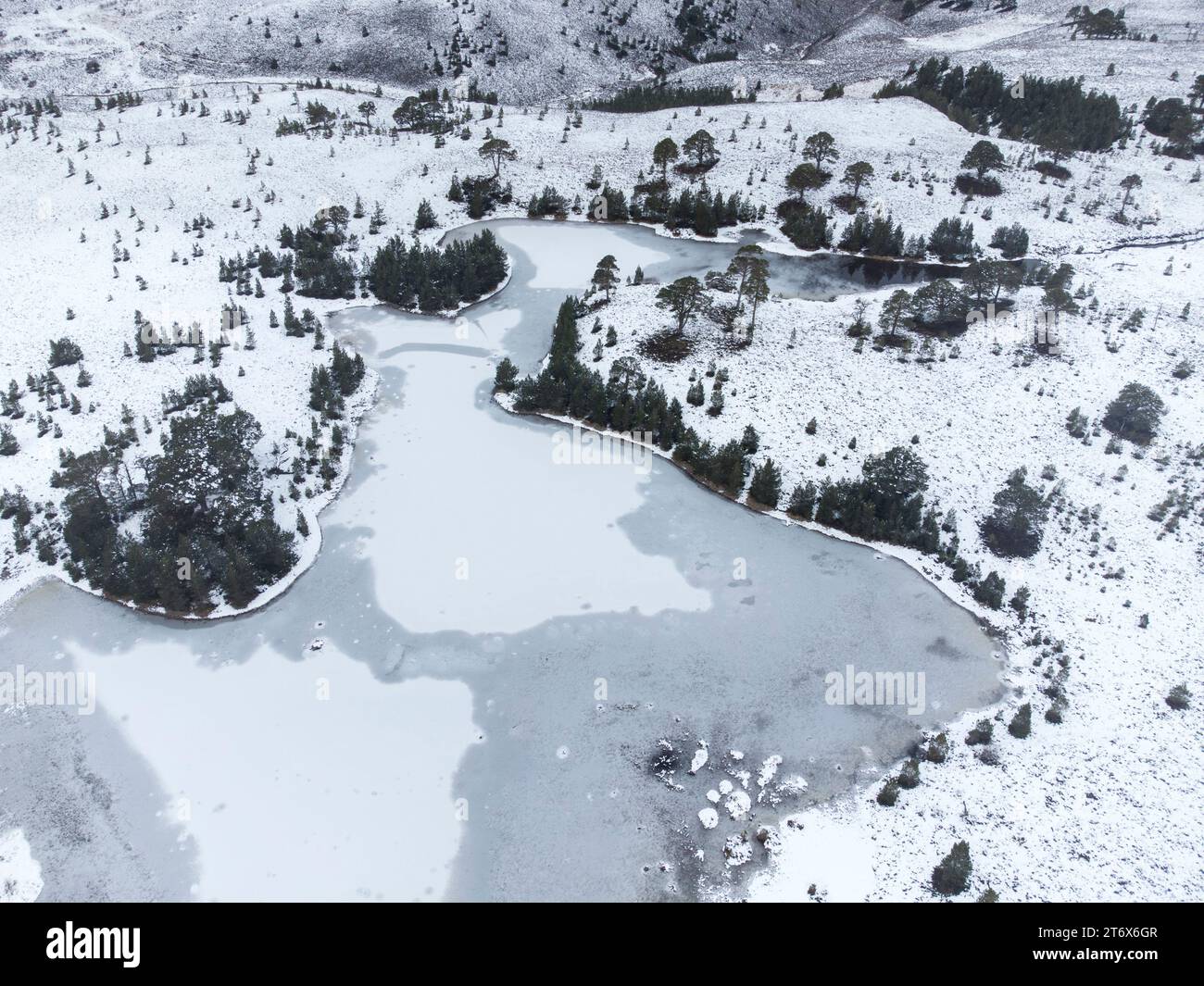 Winter veiw of Abernethy national nature reserve Cairngoms National ...