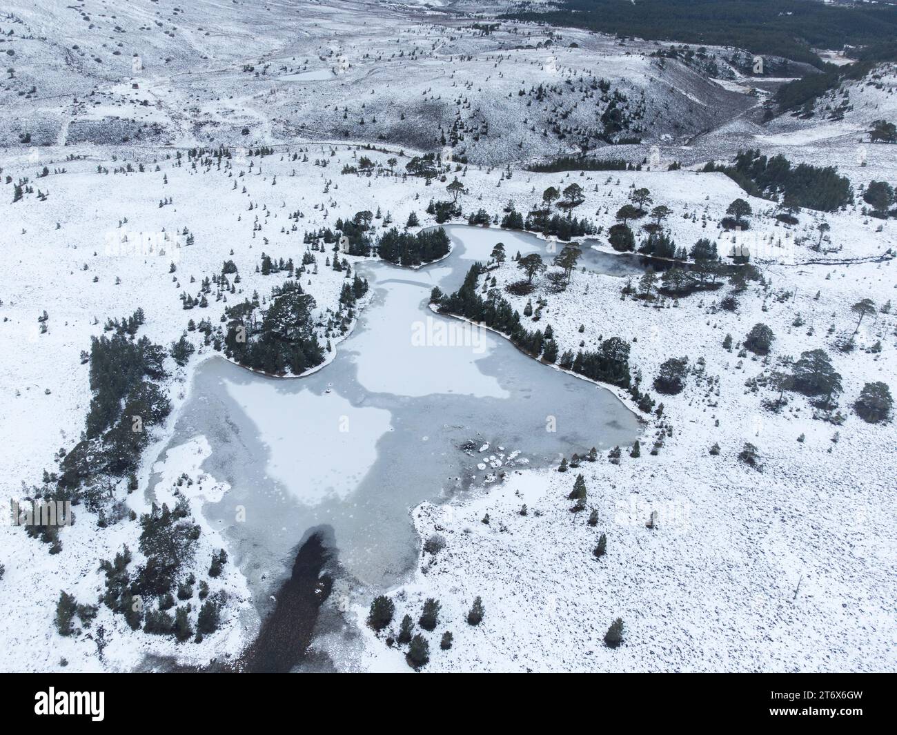 Winter veiw of Abernethy national nature reserve Cairngoms National ...