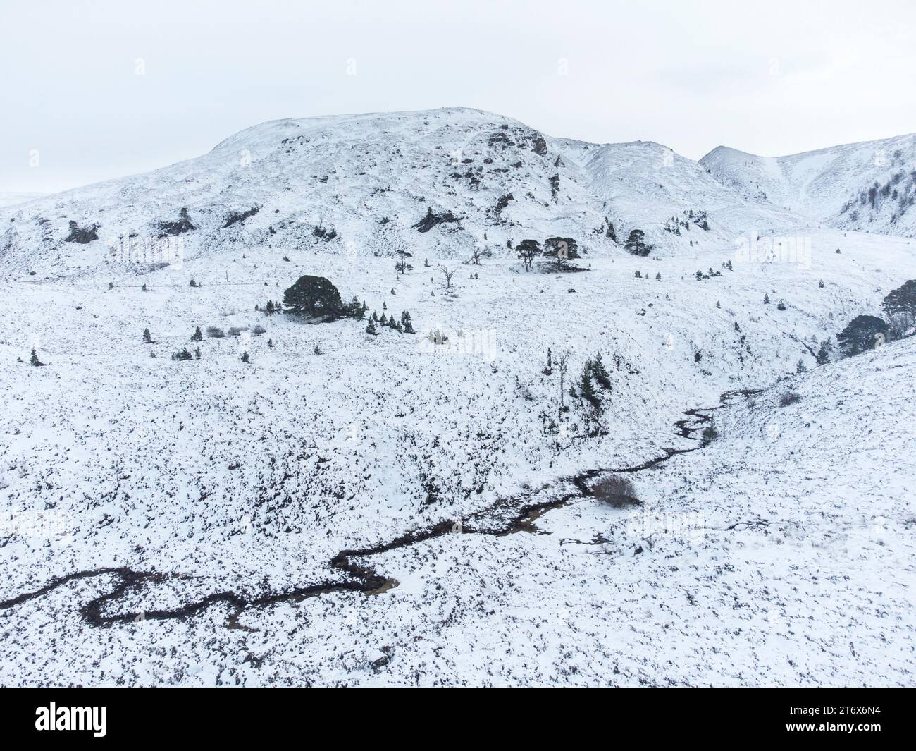 Winter veiw of Abernethy national nature reserve Cairngoms National ...