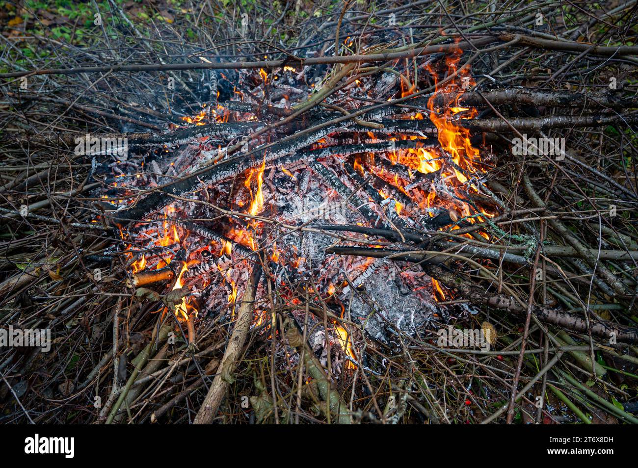 Fire made twigs from hi-res stock photography and images - Alamy