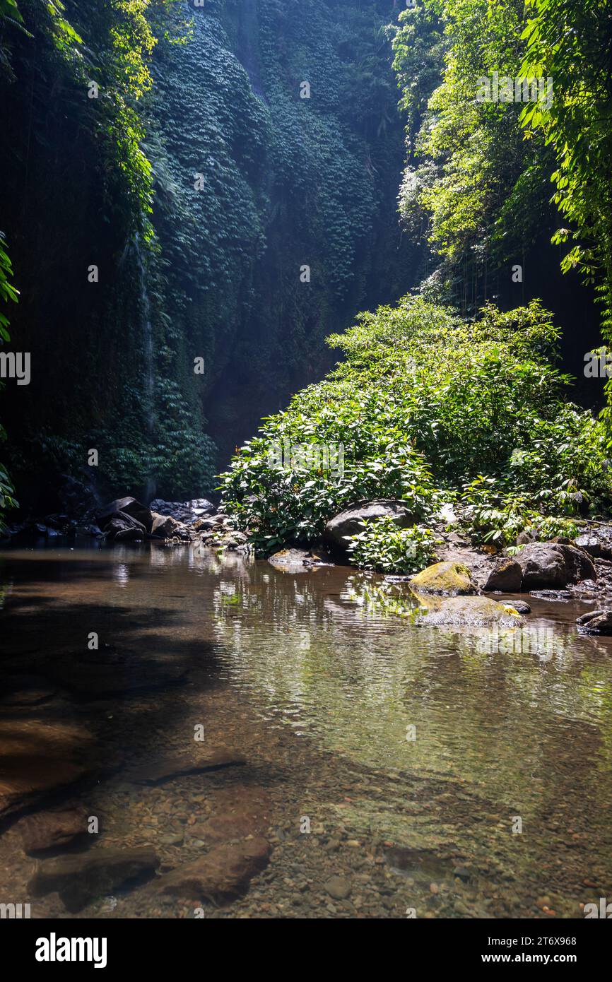 The Sekumpul Waterfall, a large waterfall in the middle of the jungle ...