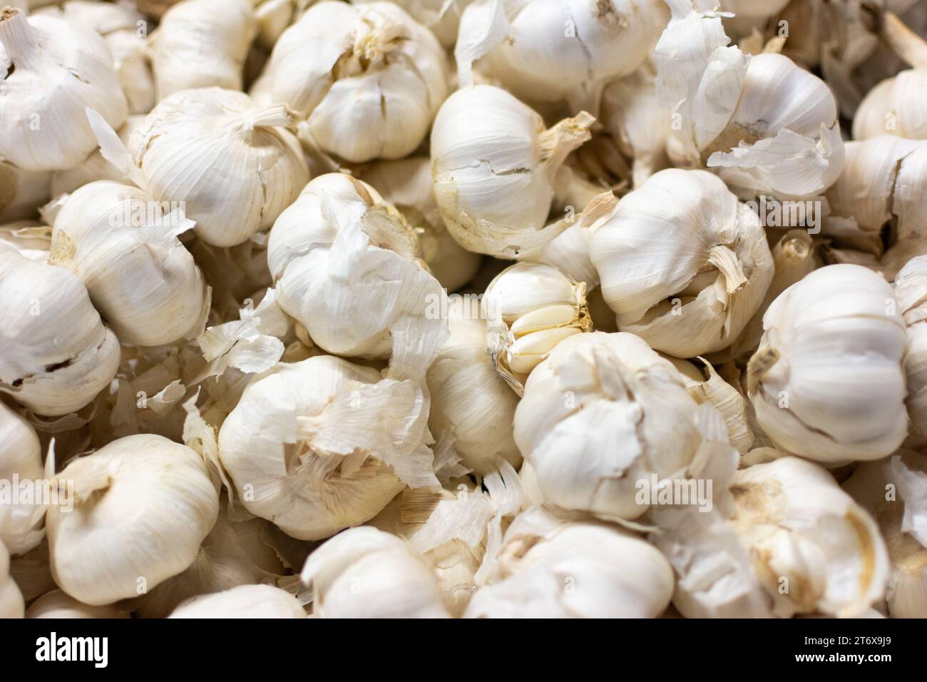 Detail of a pile of white garlic bulbs garlic on display at the market ...