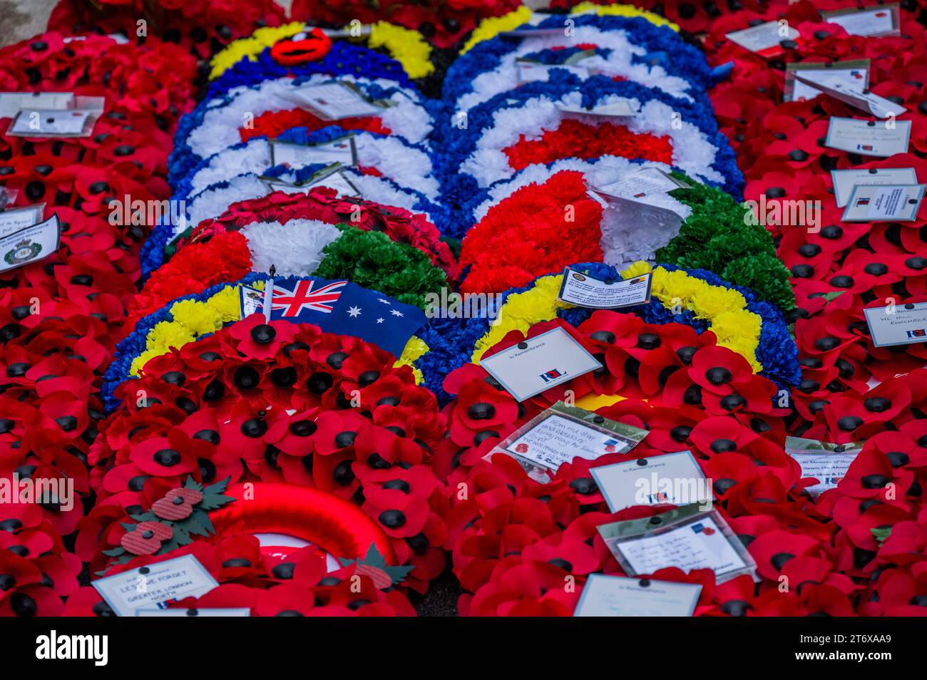 London, UK. 12 Nov 2023. A sea of wreaths at the foot of the Cenotaph ...