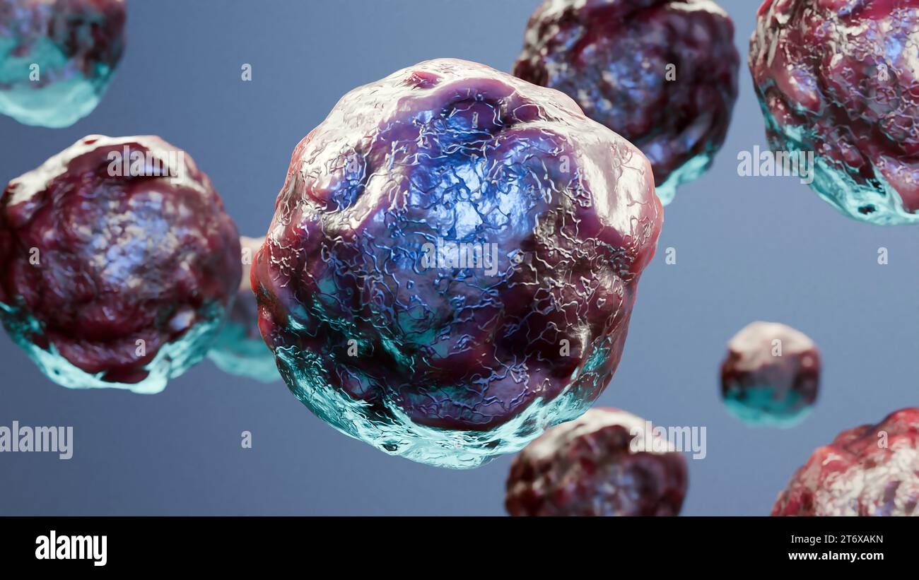 Microscopic bacteria hi-res stock photography and images - Alamy