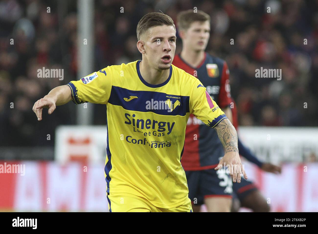 Tomas Suslov of Hellas Verona FC gestures during Genoa CFC vs Hellas ...