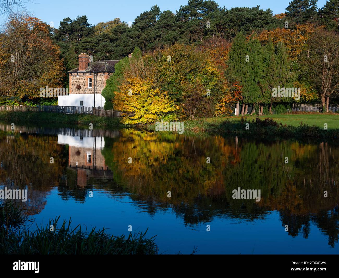 Autumn trees ireland hi-res stock photography and images - Alamy