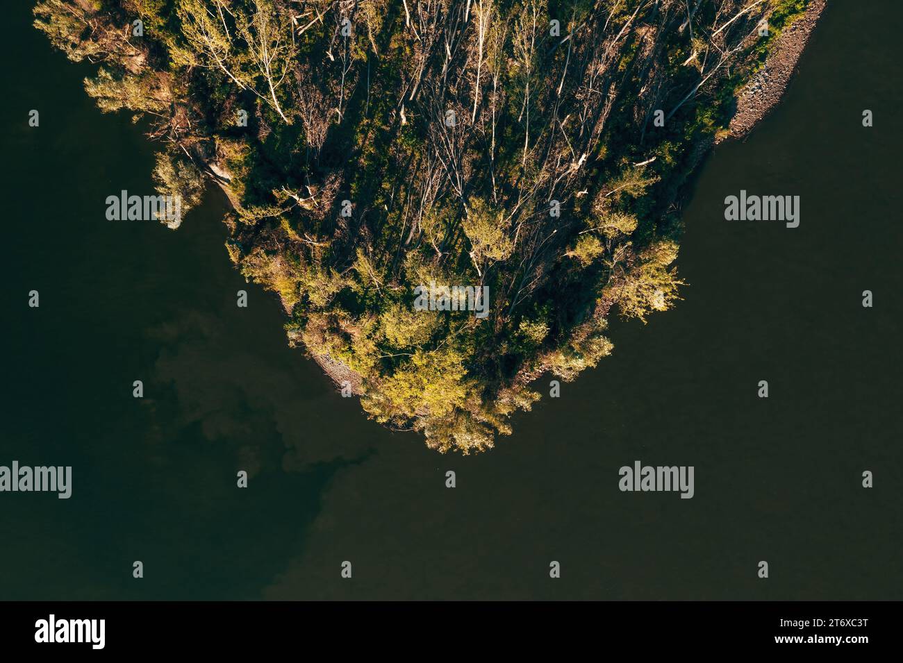 Aerial shot of devastated forest landscape after supercell storm in ...