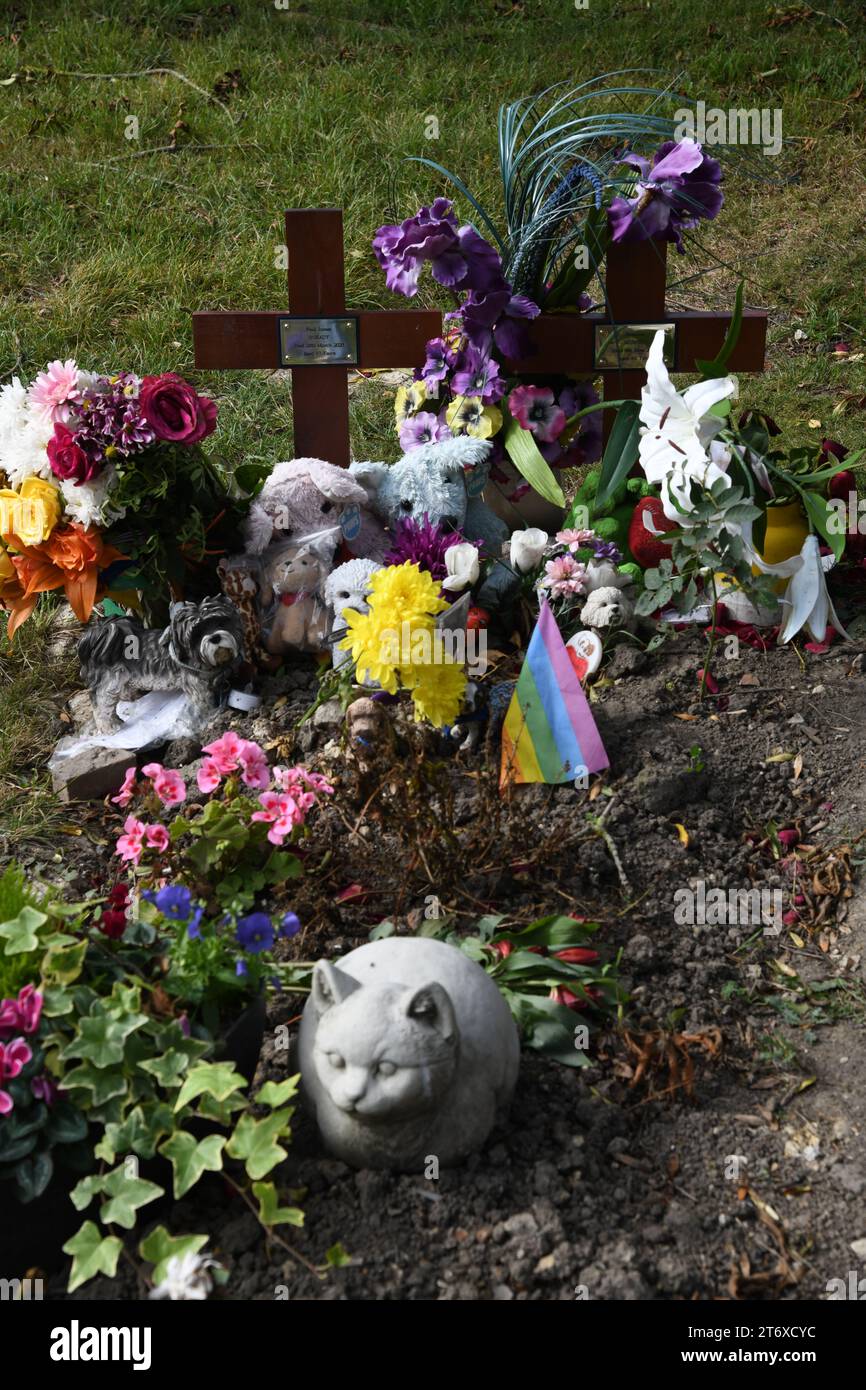 Paul O'Grady's grave Stock Photo - Alamy Paul O'Grady's grave Stock Photo - Alamy