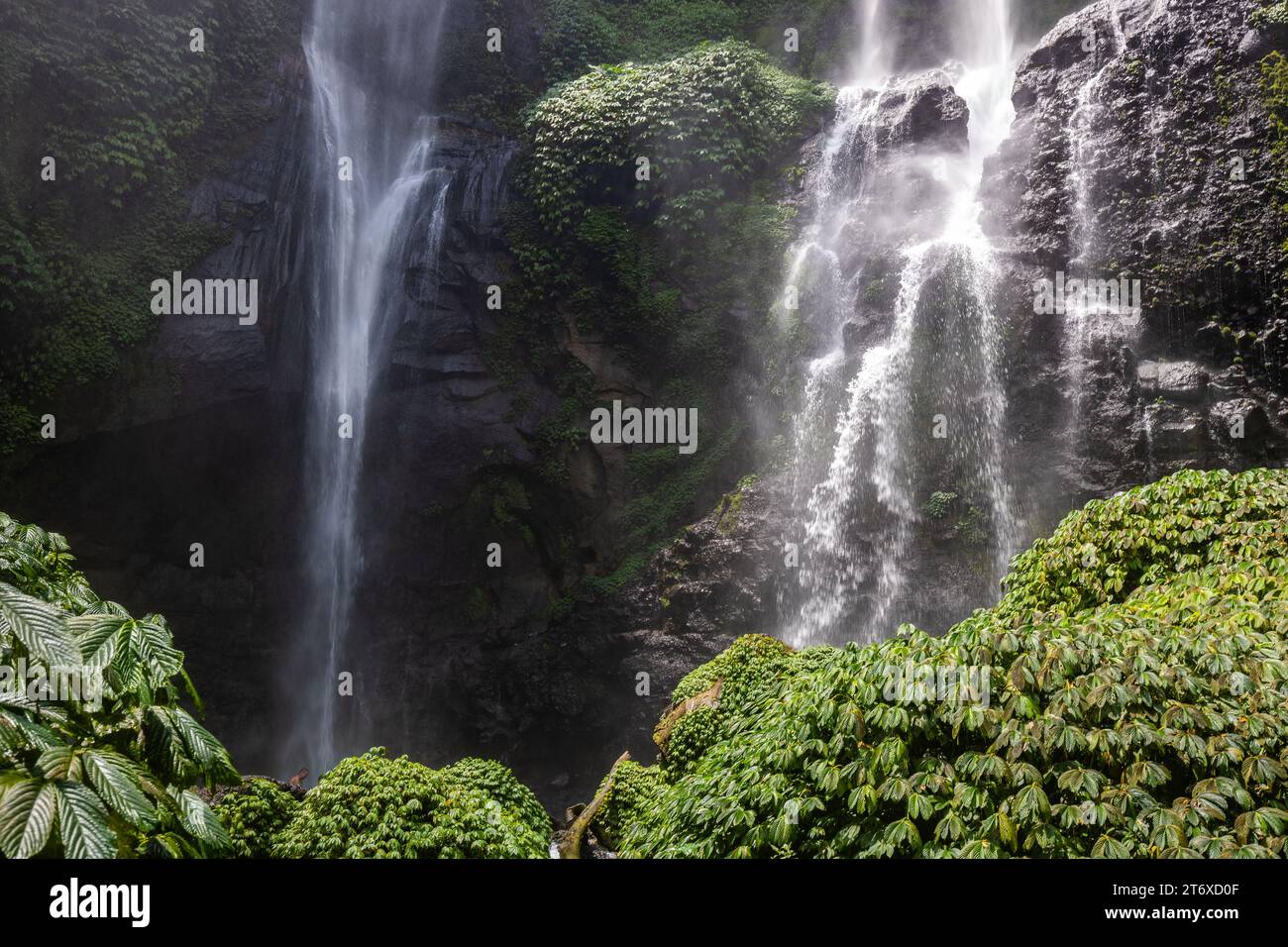 The Sekumpul Waterfall, a large waterfall in the middle of the jungle ...