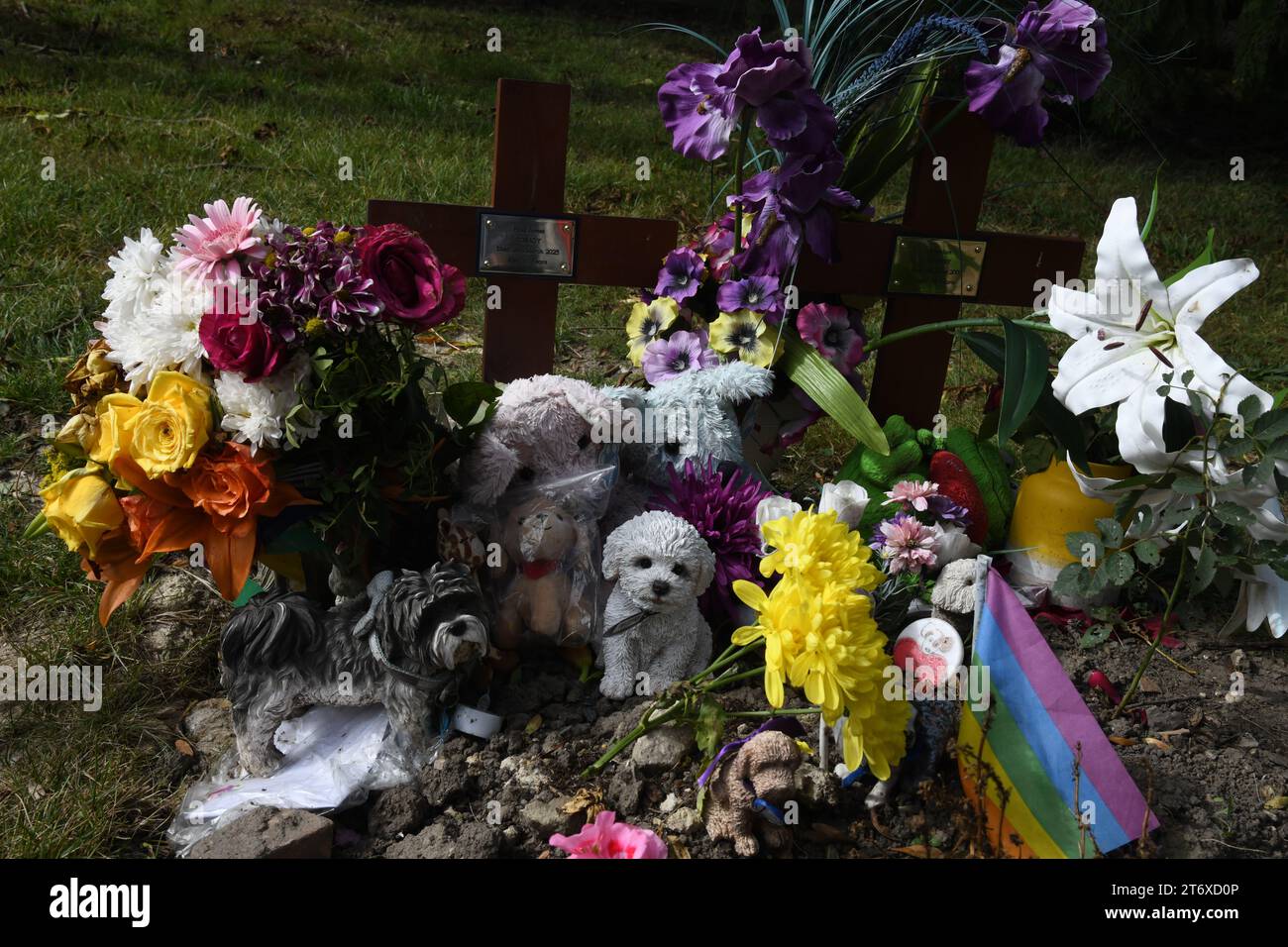 Paul ogrady grave hi-res stock photography and images - Alamy Paul ogrady grave hi-res stock photography and images - Alamy