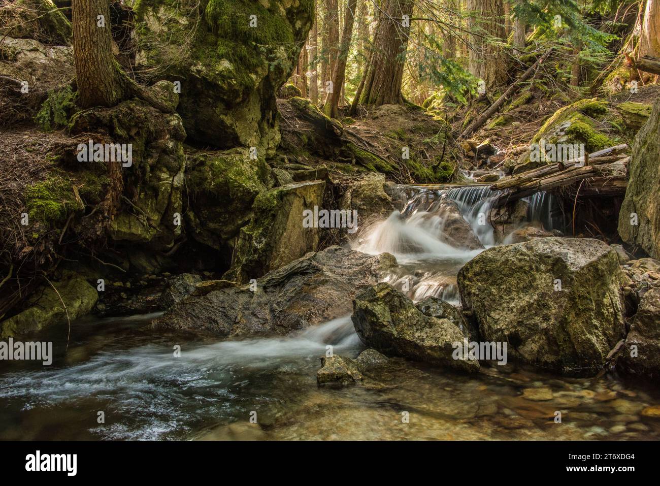 Small waterfall with motion blur suggesting peace and calm, happy creek ...