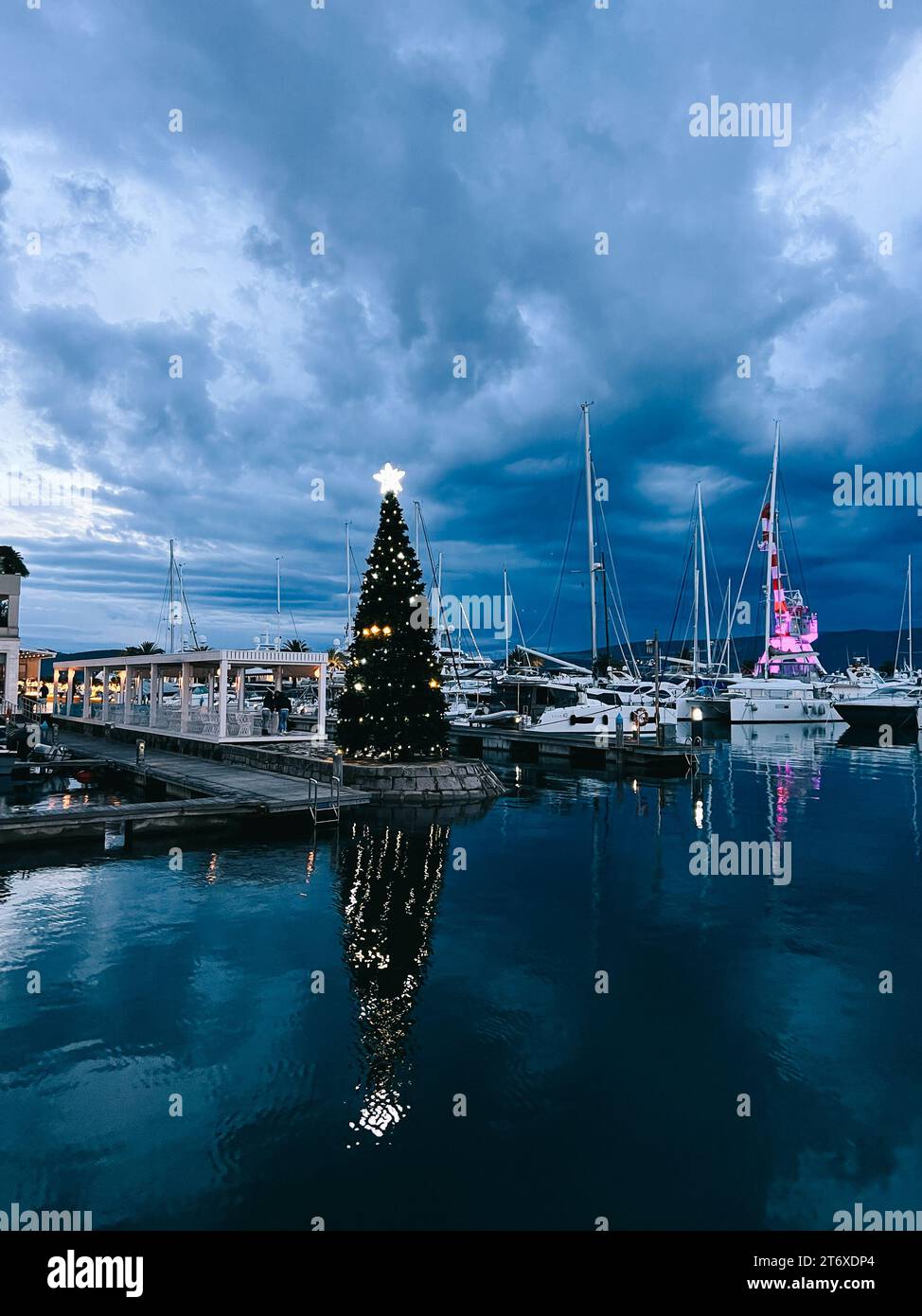 Christmas tree decorated with luminous garlands stands in the port near ...
