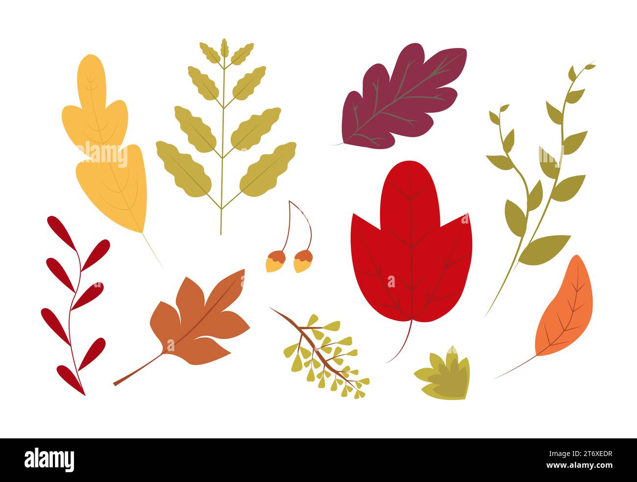 Autumn leaf collection. Vector flat nature. Autumn art print. Posters ...