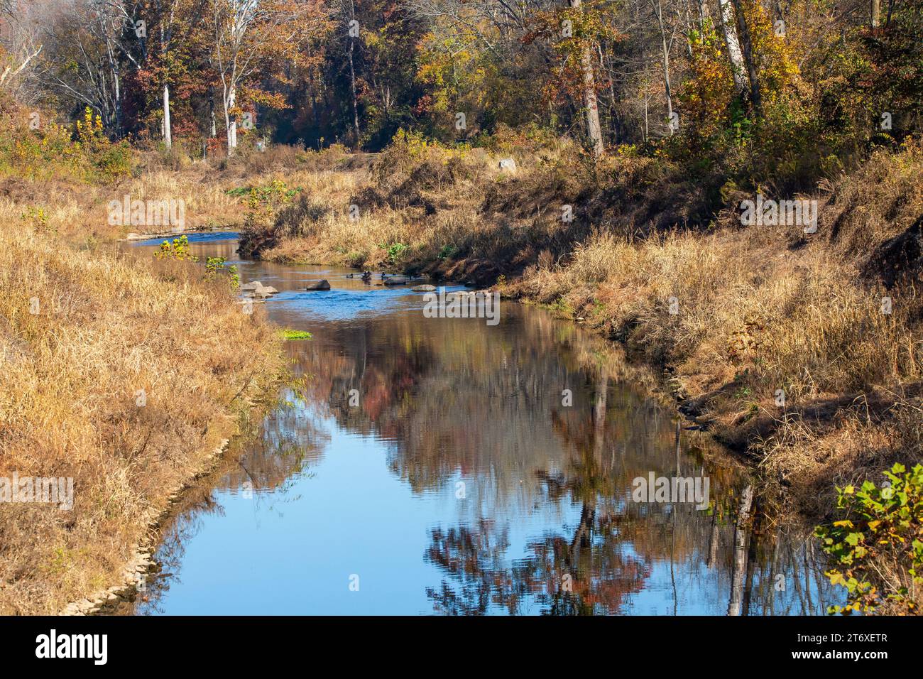 A restored creek winds through a natural area reflecting the colors of ...