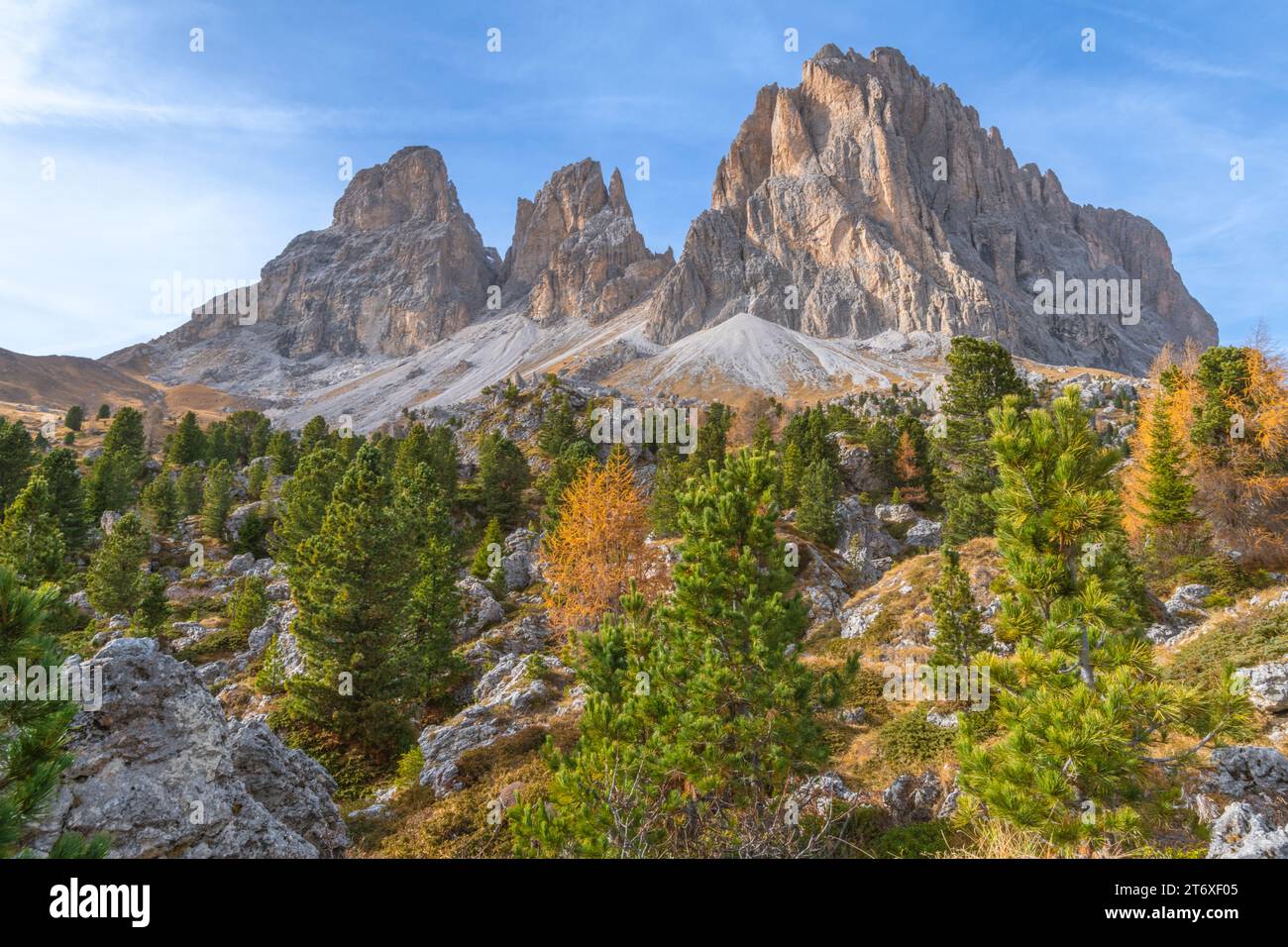 Fall foliage treeline rocky hi-res stock photography and images - Alamy