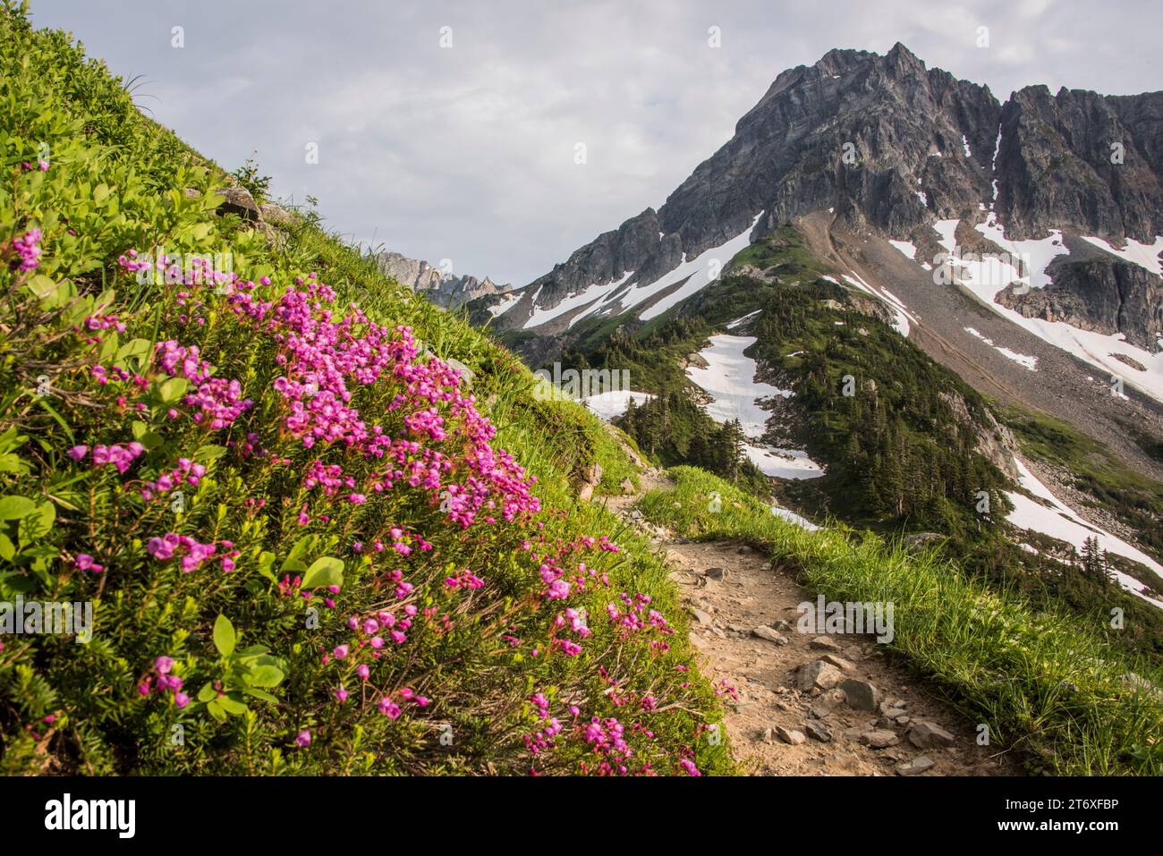 Scenic landscape on trail to Cascade Pass, North Cascades National Park ...