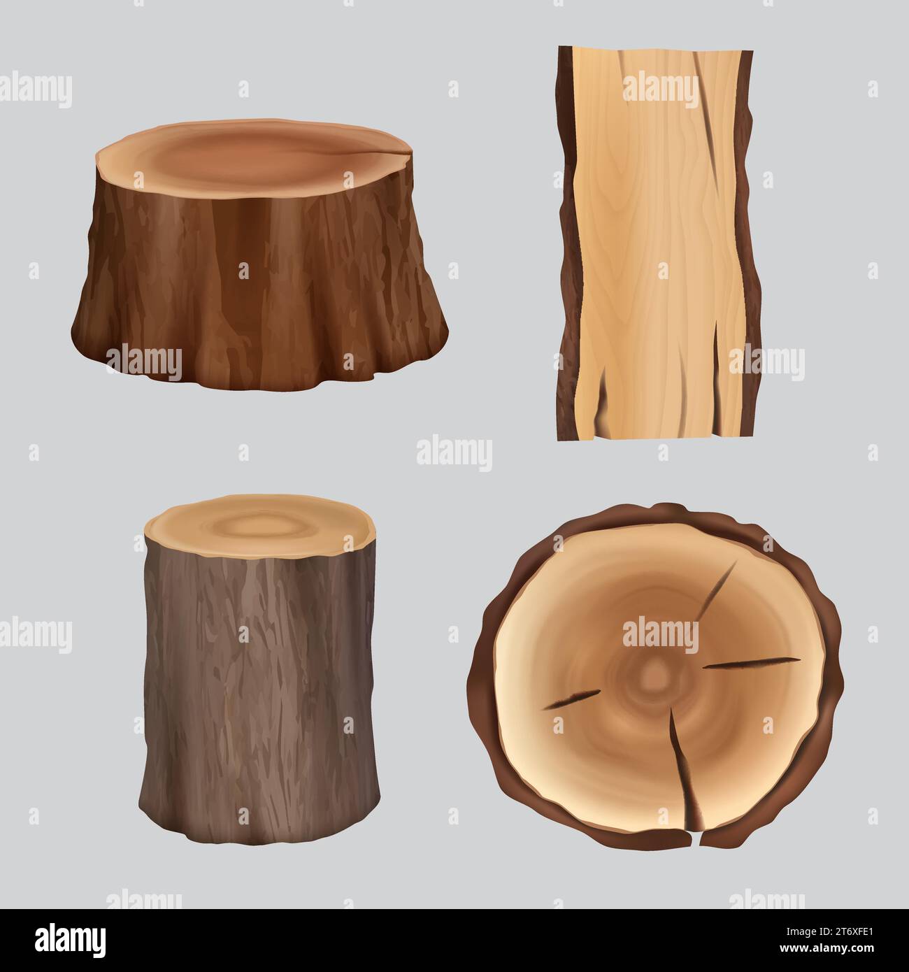 Wooden trunks. Cross section tree textures growth rings decent vector ...