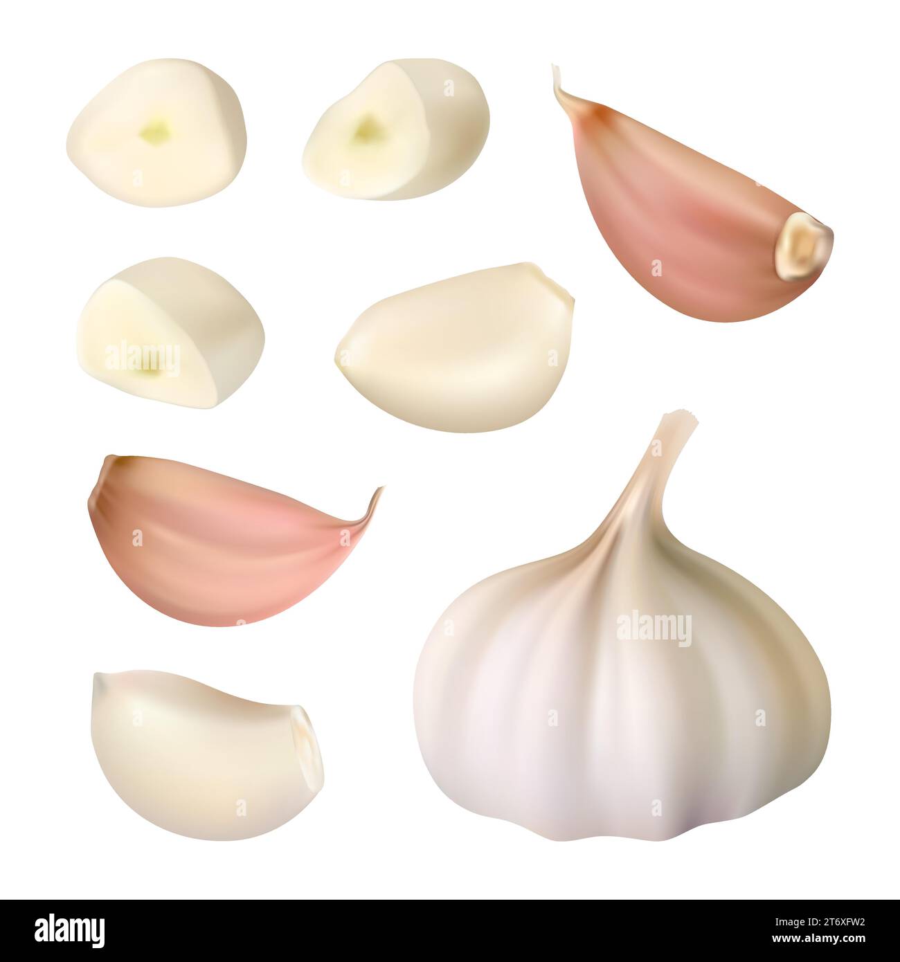 Garlic. Peeled cloves garlic slices decent vector realistic template ...