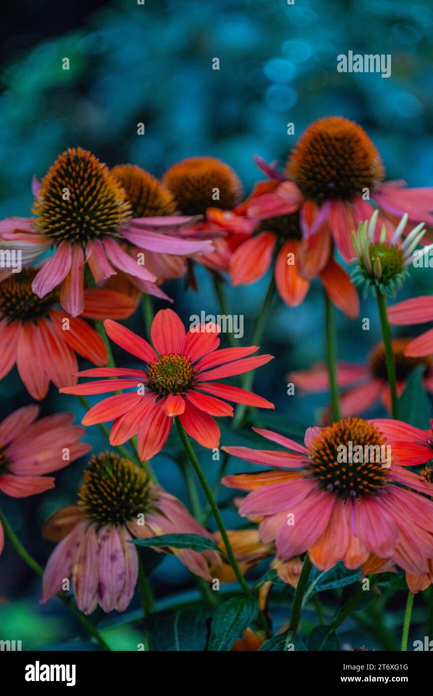 Discover the secret behind Seattle's enchanting allure. Take in the ...