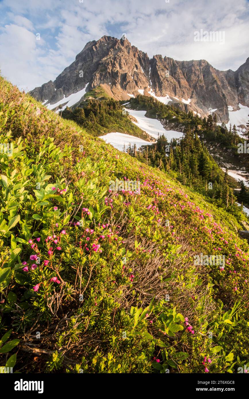 Serene cascades hi-res stock photography and images - Alamy