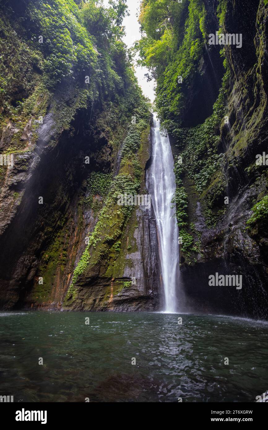 The Sekumpul Waterfall, a large waterfall in the middle of the jungle ...