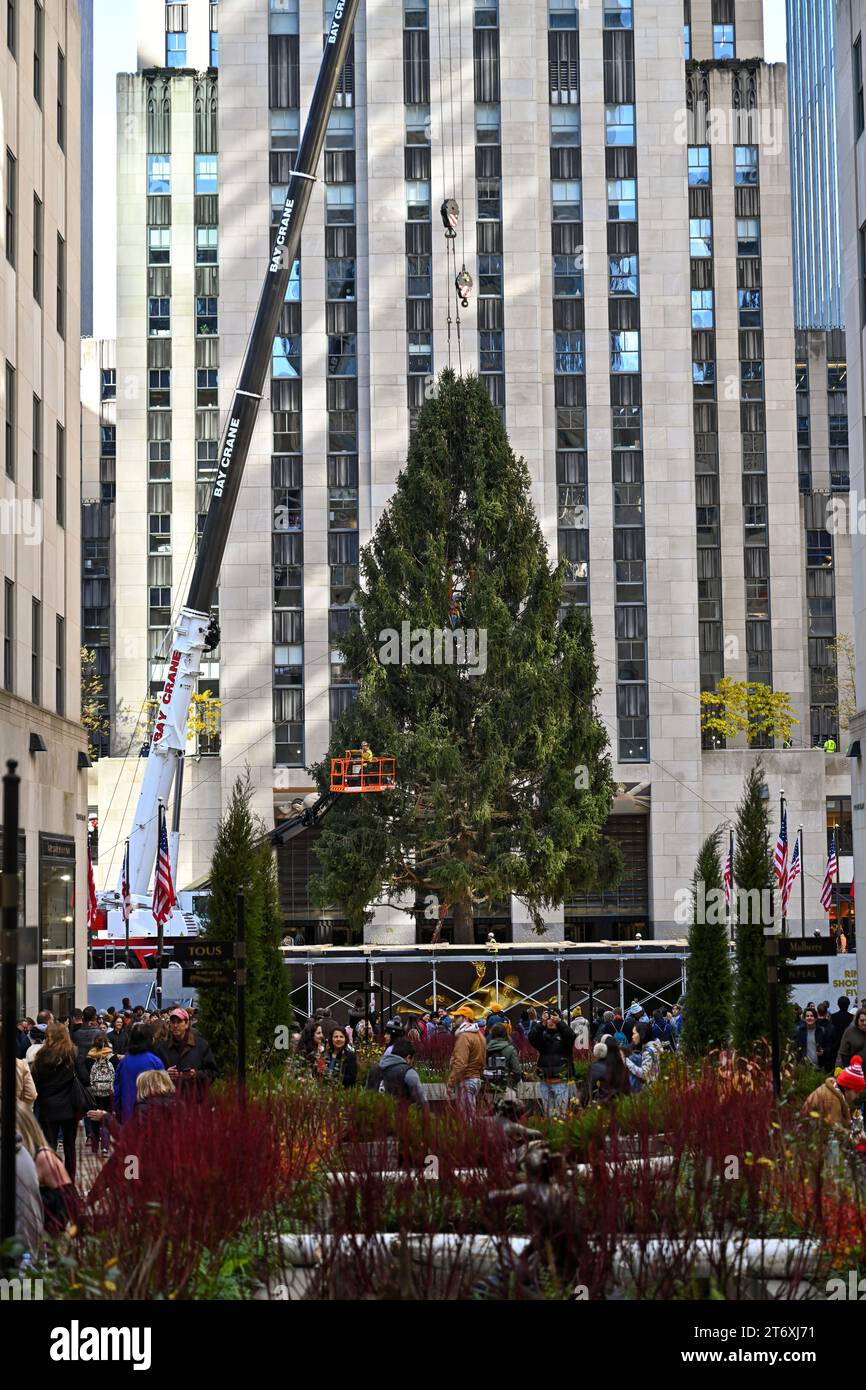 The Rockefeller Center Christmas Tree is lifted into place on the Plaza ...