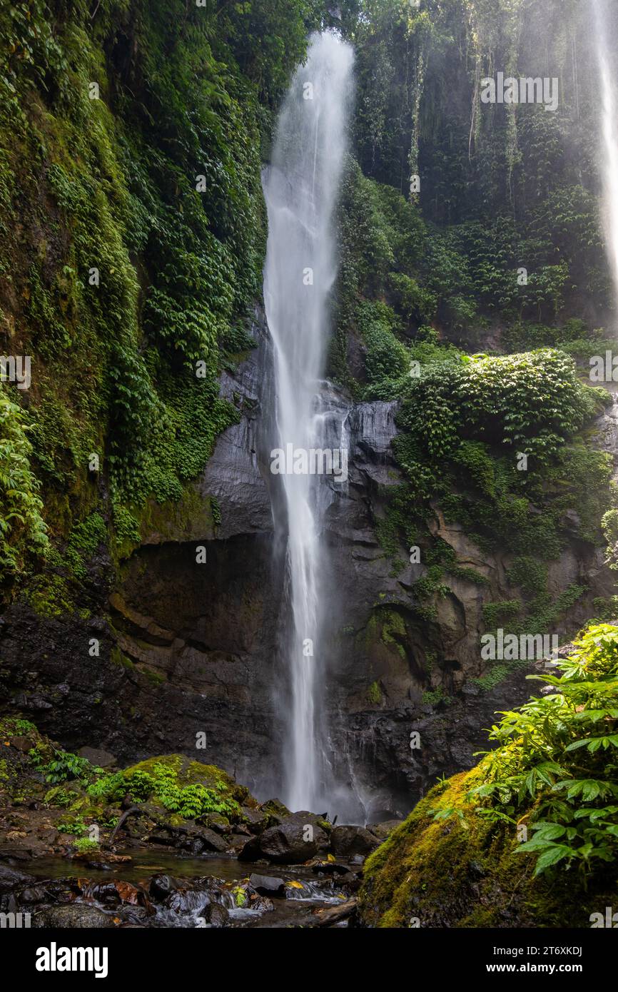 The Sekumpul Waterfall, a large waterfall in the middle of the jungle ...
