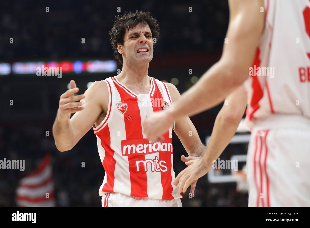 Milos nikolic hi-res stock photography and images - Alamy