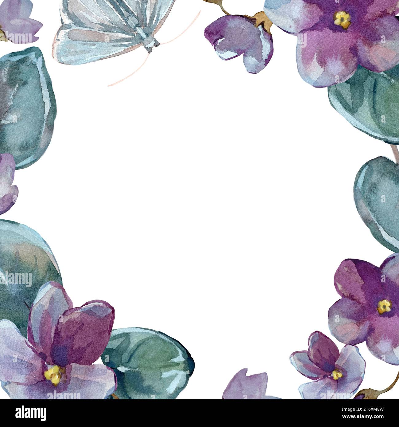 Frame with violet flowers, leaves and butterfly isolated on white. Hand ...