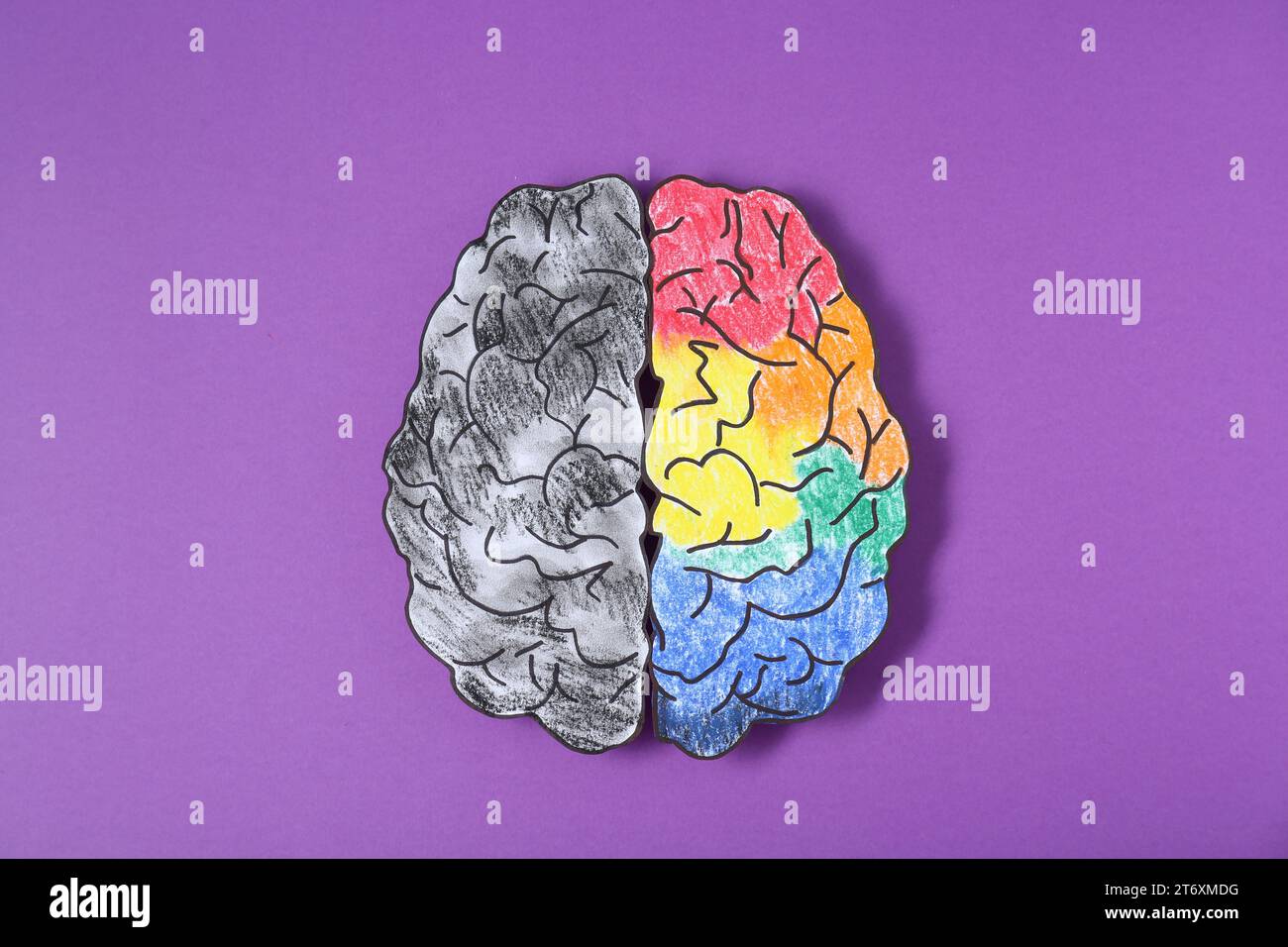 Logic and creativity. Paper brain with one colorful hemisphere and ...