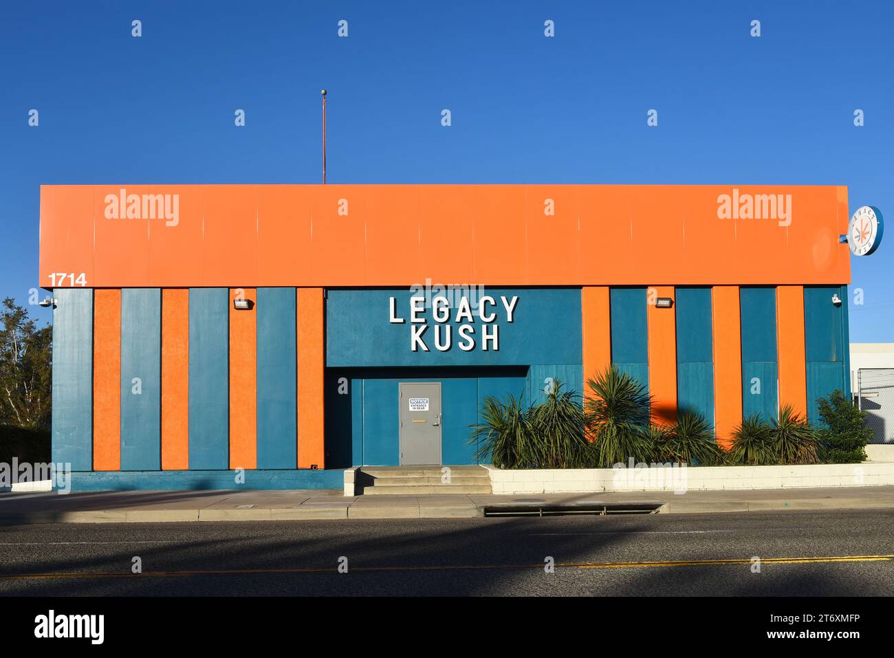 Legacy kush hi-res stock photography and images - Alamy Legacy kush hi-res stock photography and images - Alamy