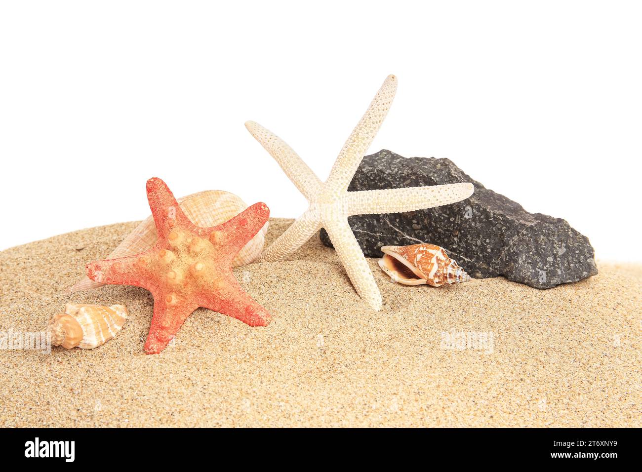 Beautiful sea stars, stone and seashells in sand isolated on white ...