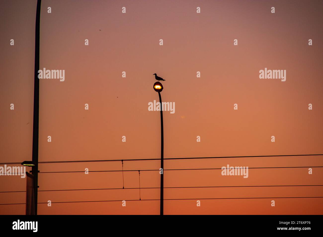 Cityscapes Captured in Backlight Stock Photo - Alamy